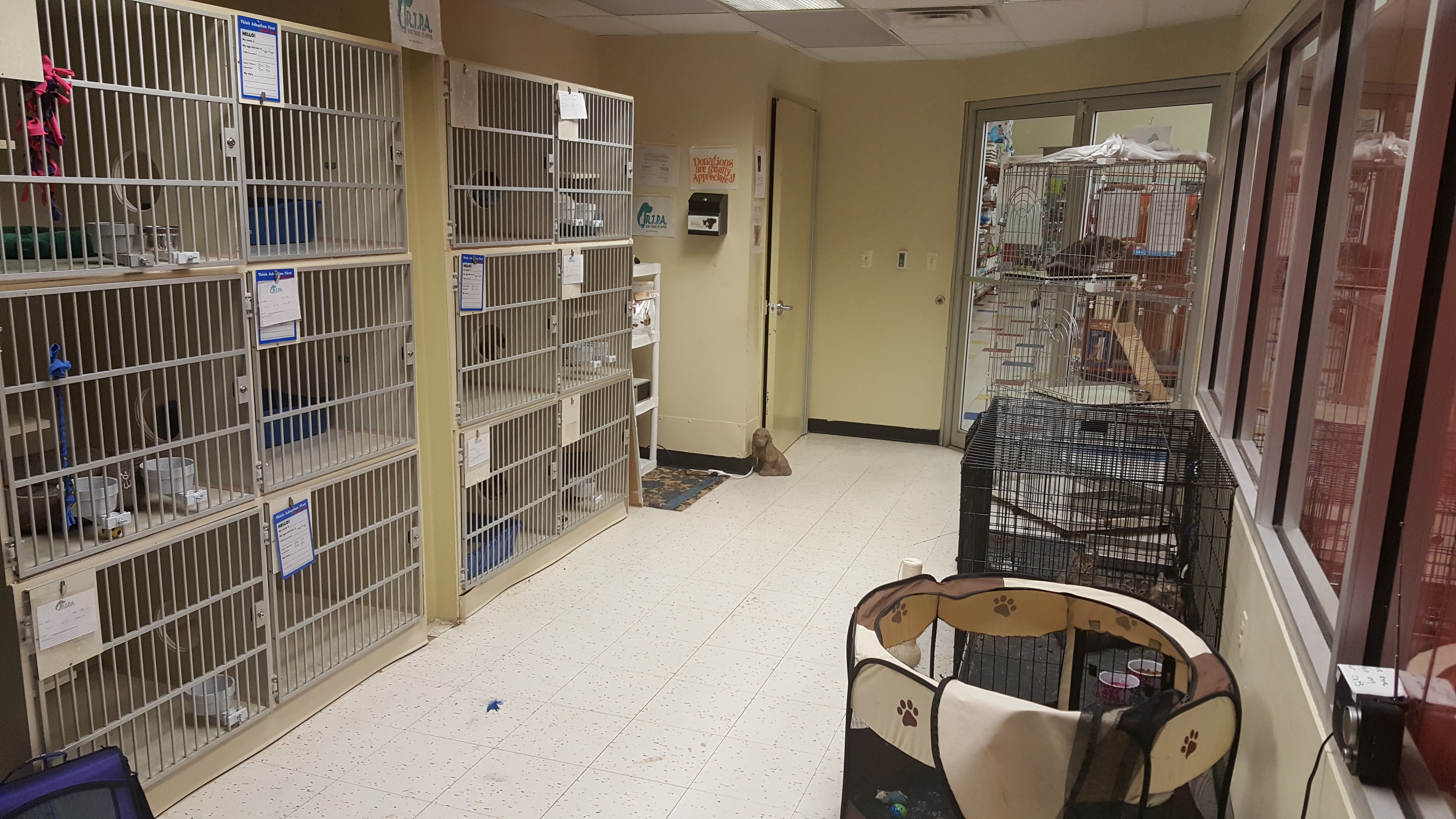 Applications – Rescued Treasures